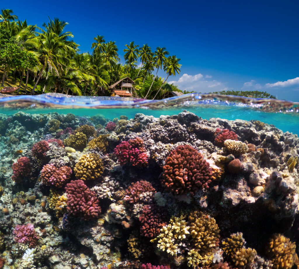 CIB 4 - Colloque International BIOSPHERES - Valorisation de la ...